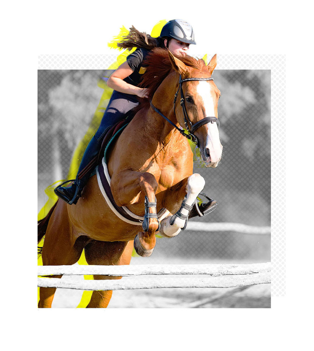 Equestrian / Rodeo - Radically Active
